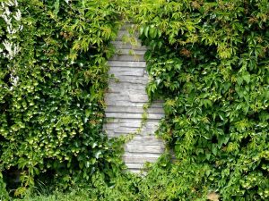 How to Hide a Transformer Box in Your Yard the Easy Way